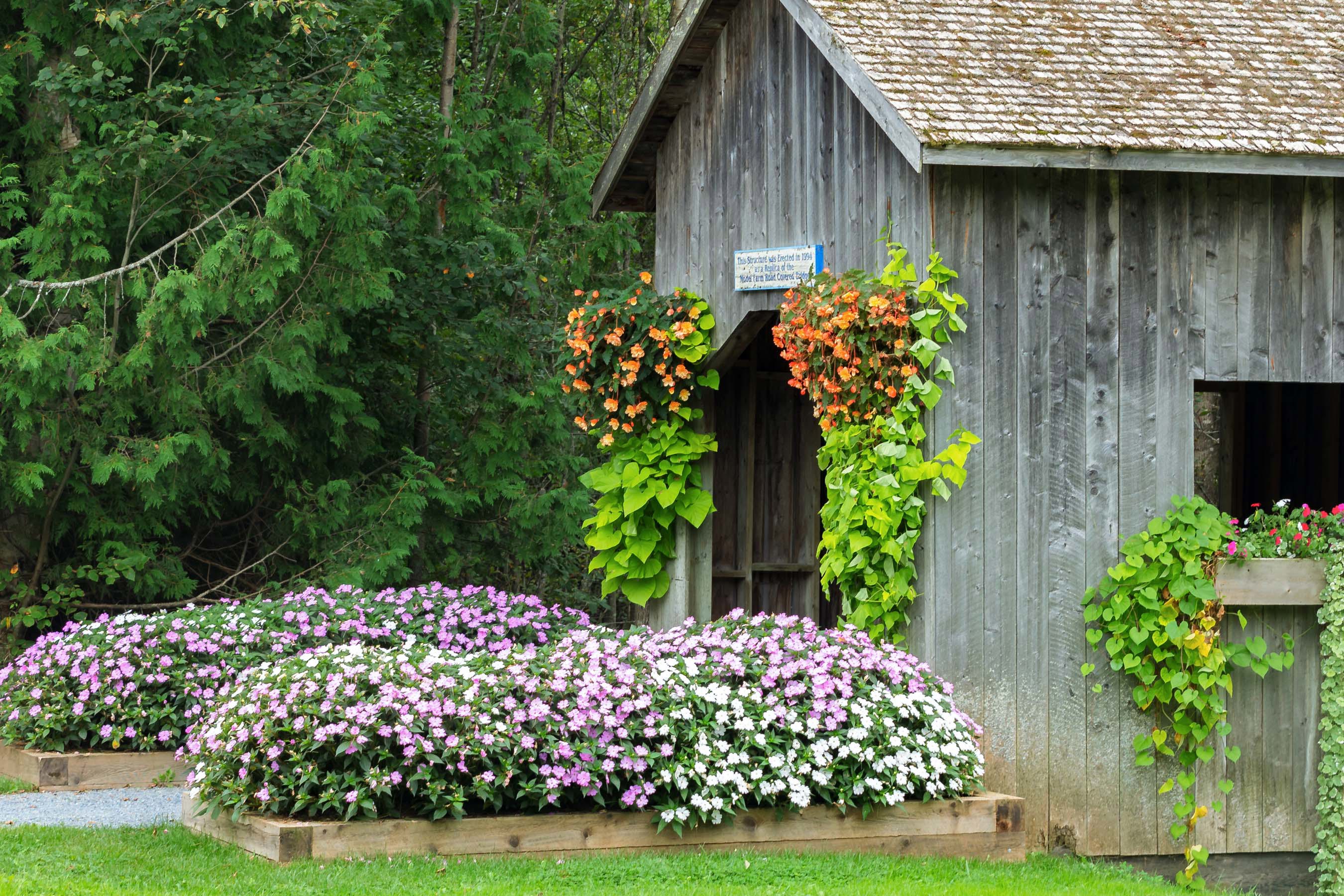 Parks | Town of Quispamsis