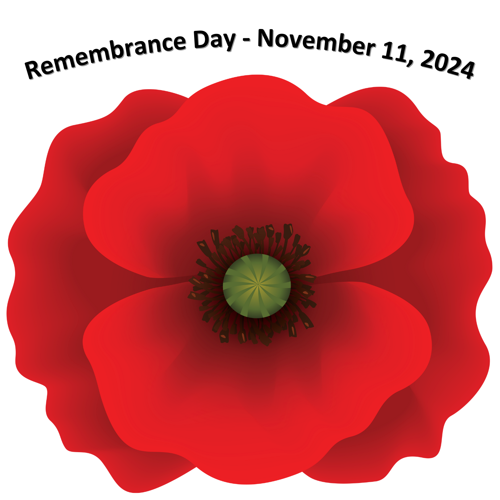 Remembrance Day ceremony Nov. 11 at qplex; Town Hall closed Monday ...