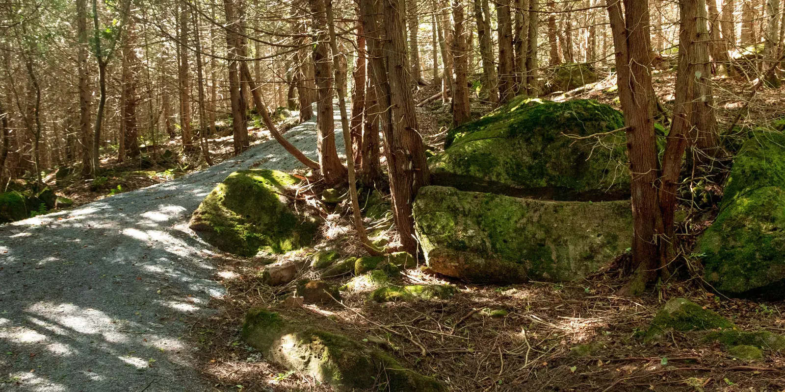 Trails | Town of Quispamsis